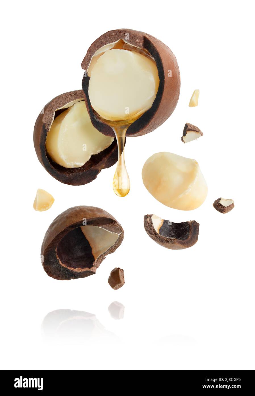Flying composition of macadamia nut with oil drop. Design element for ...