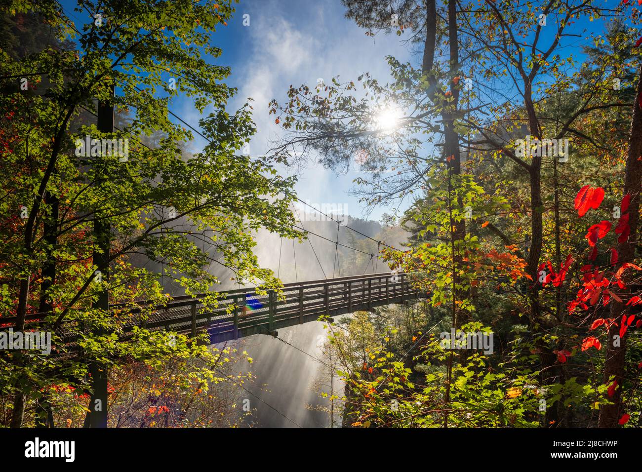 Tallulah Falls, Georgia, USA overlooking Tallulah Gorge in the autumn ...