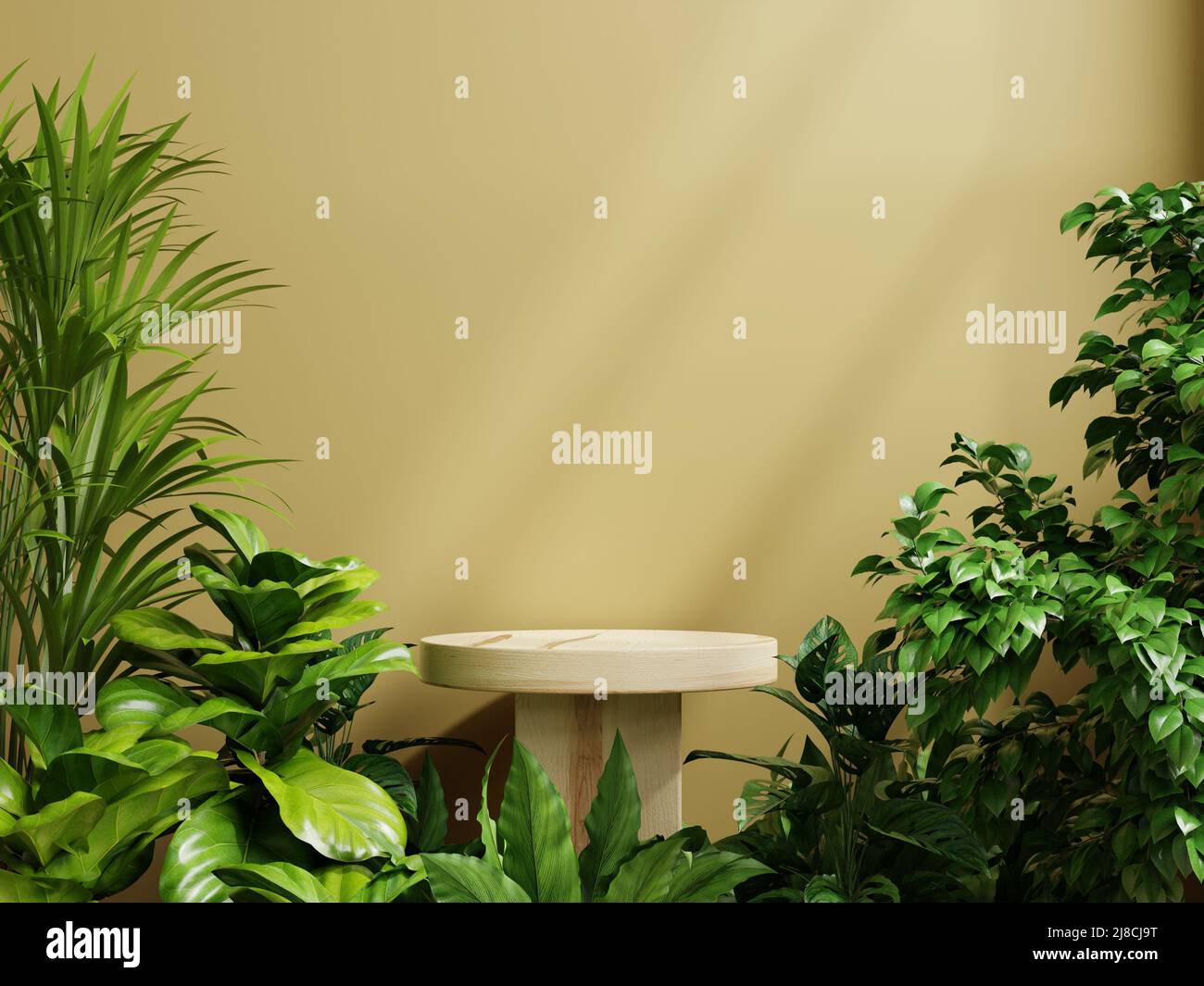 Wooden podium display with leaf shadow composition for product ...