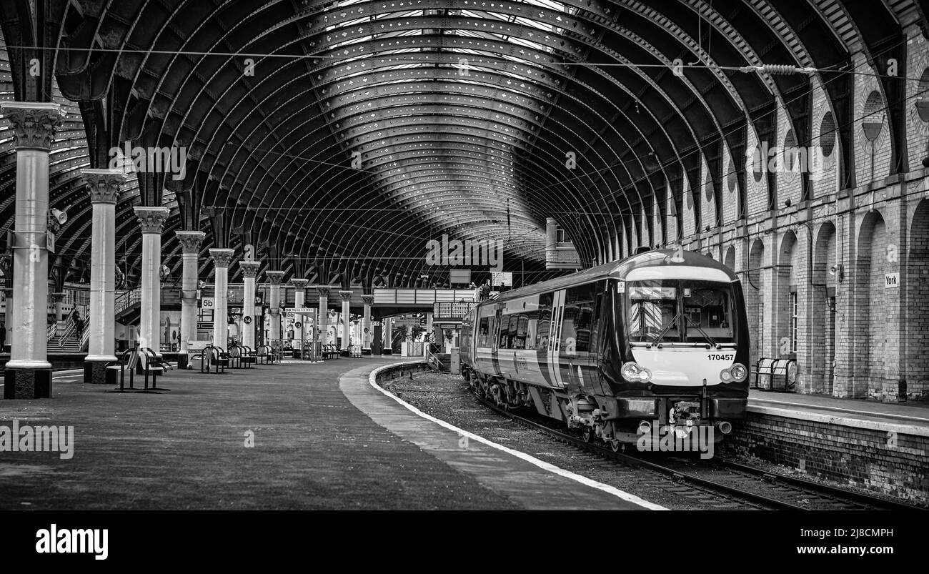 Side column line Black and White Stock Photos & Images - Alamy