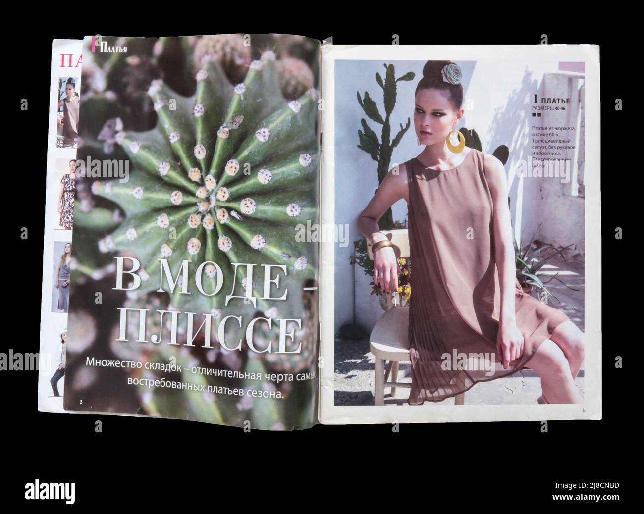 Russian cactus hi-res stock photography and images - Alamy