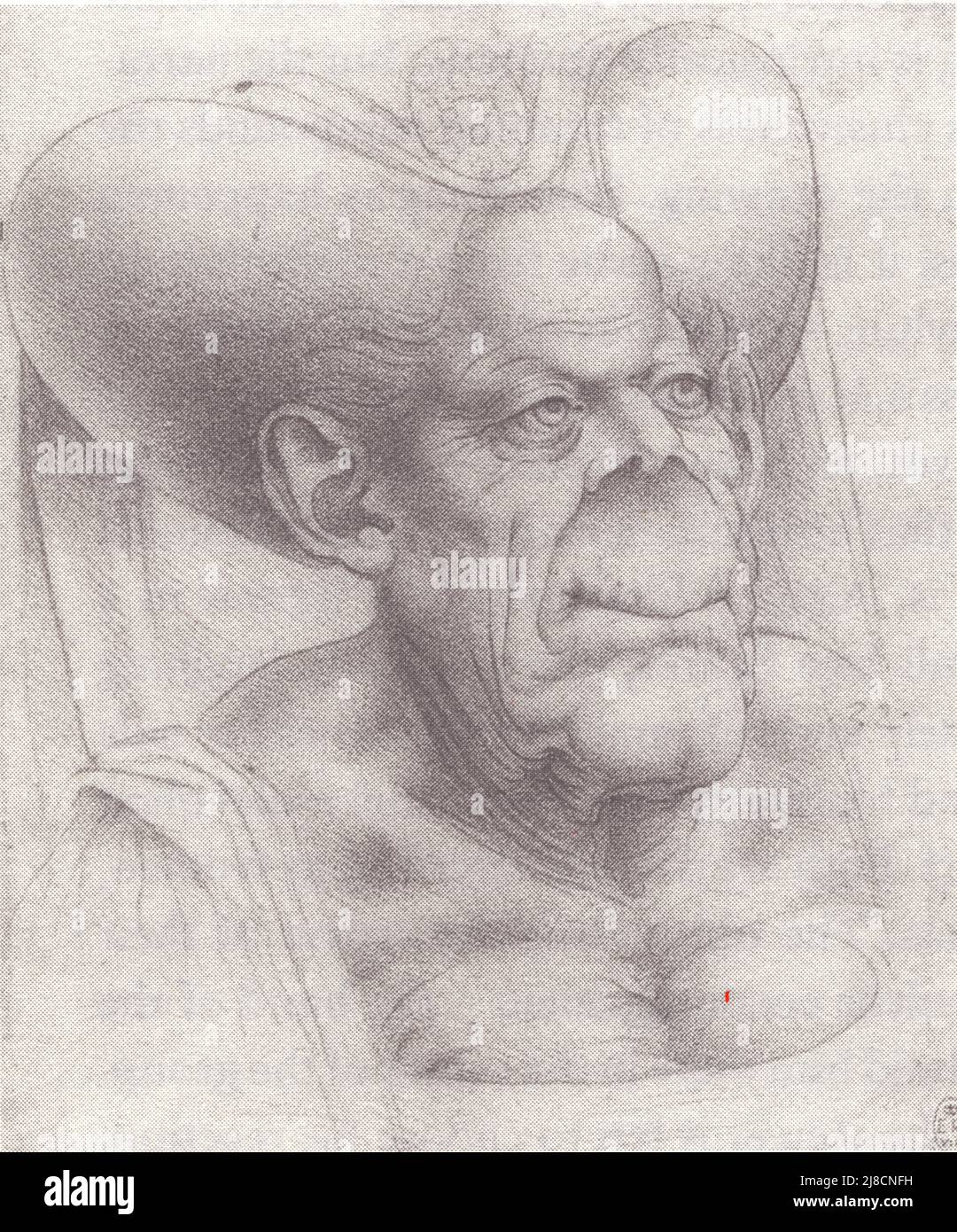 Grotesque vinci hi-res stock photography and images - Alamy