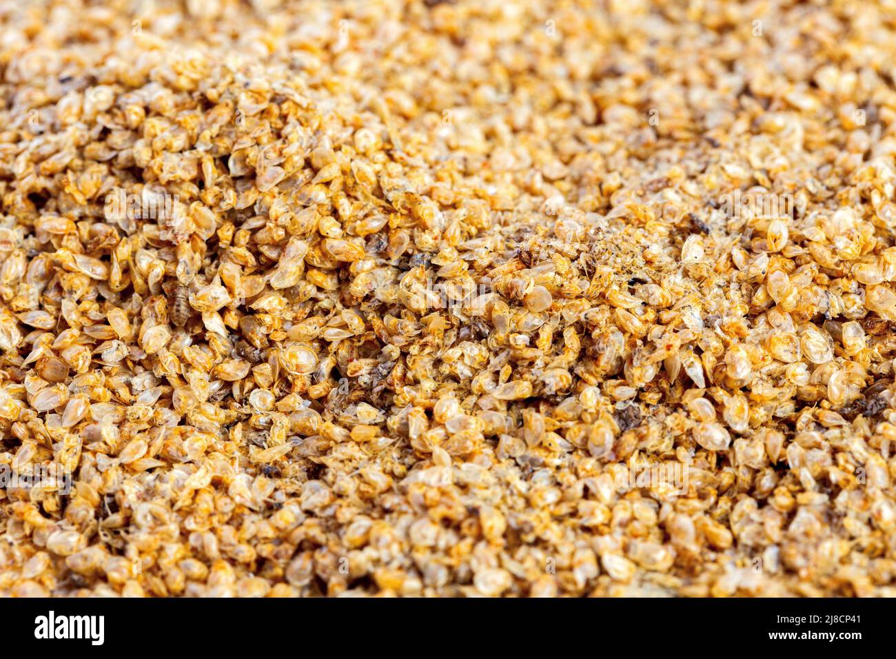 Dry Daphnia fish feed. Top view Stock Photo - Alamy