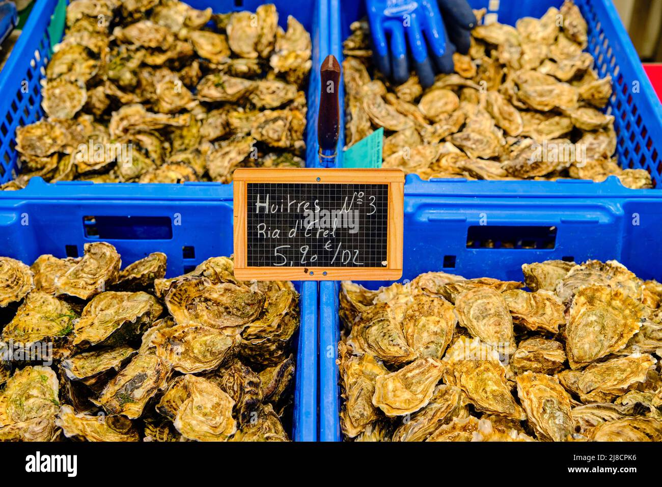 France, Morbihan, Gulf of Morbihan, Vannes, the fish market Stock Photo ...