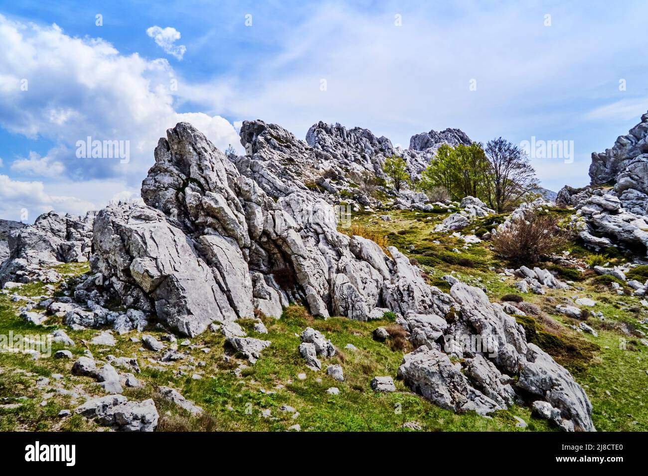 Rock formation of light limestone under blue-white sky in Velebit ...