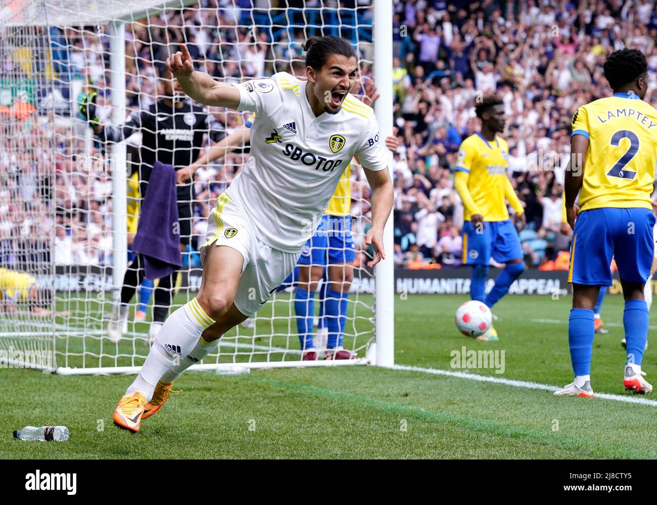 Leeds United's Pascal Struijk celebrates scoring their side's first ...