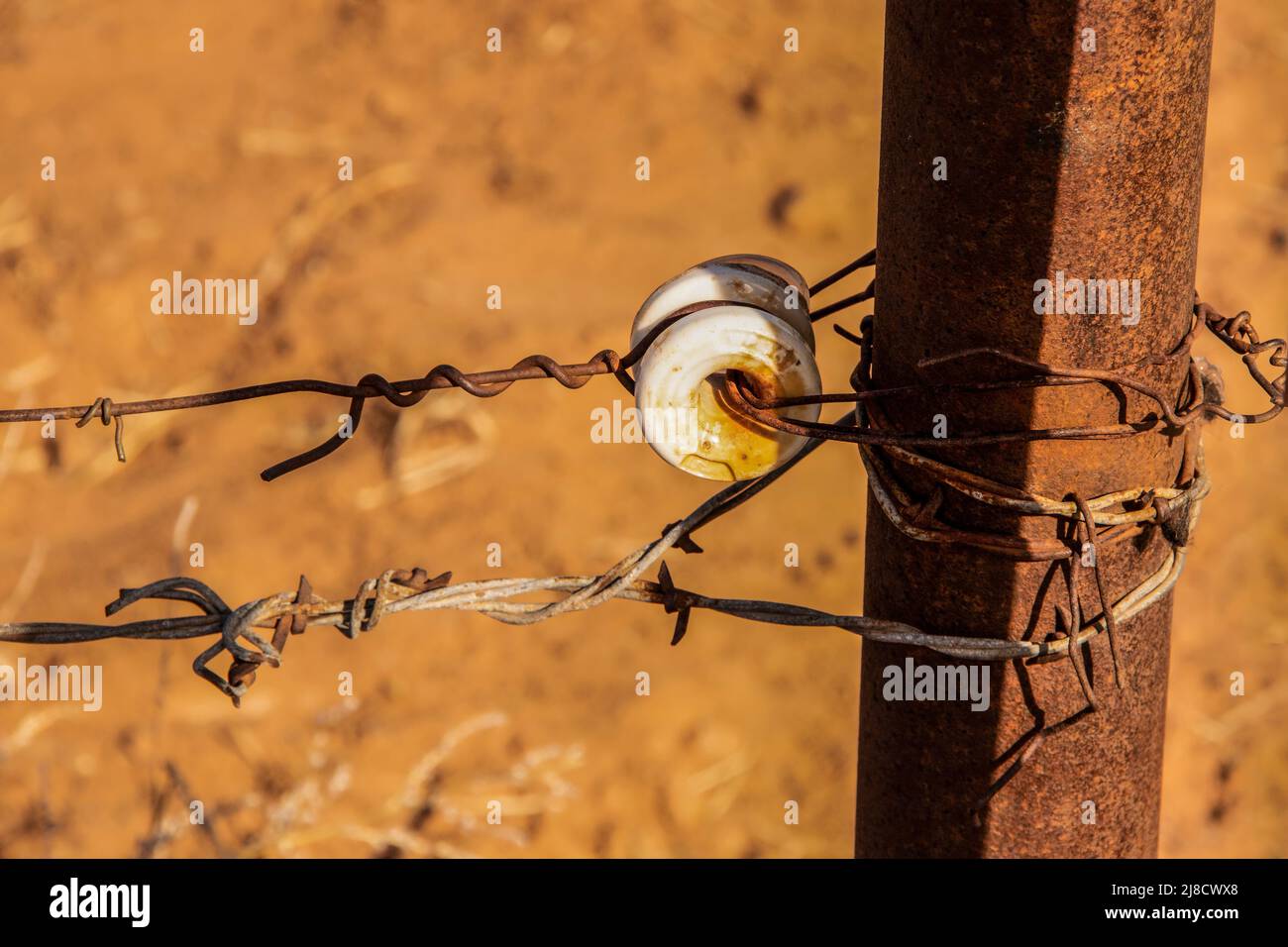 Porcelain Donut Insulator for electric fence wired onto a rusty metal ...