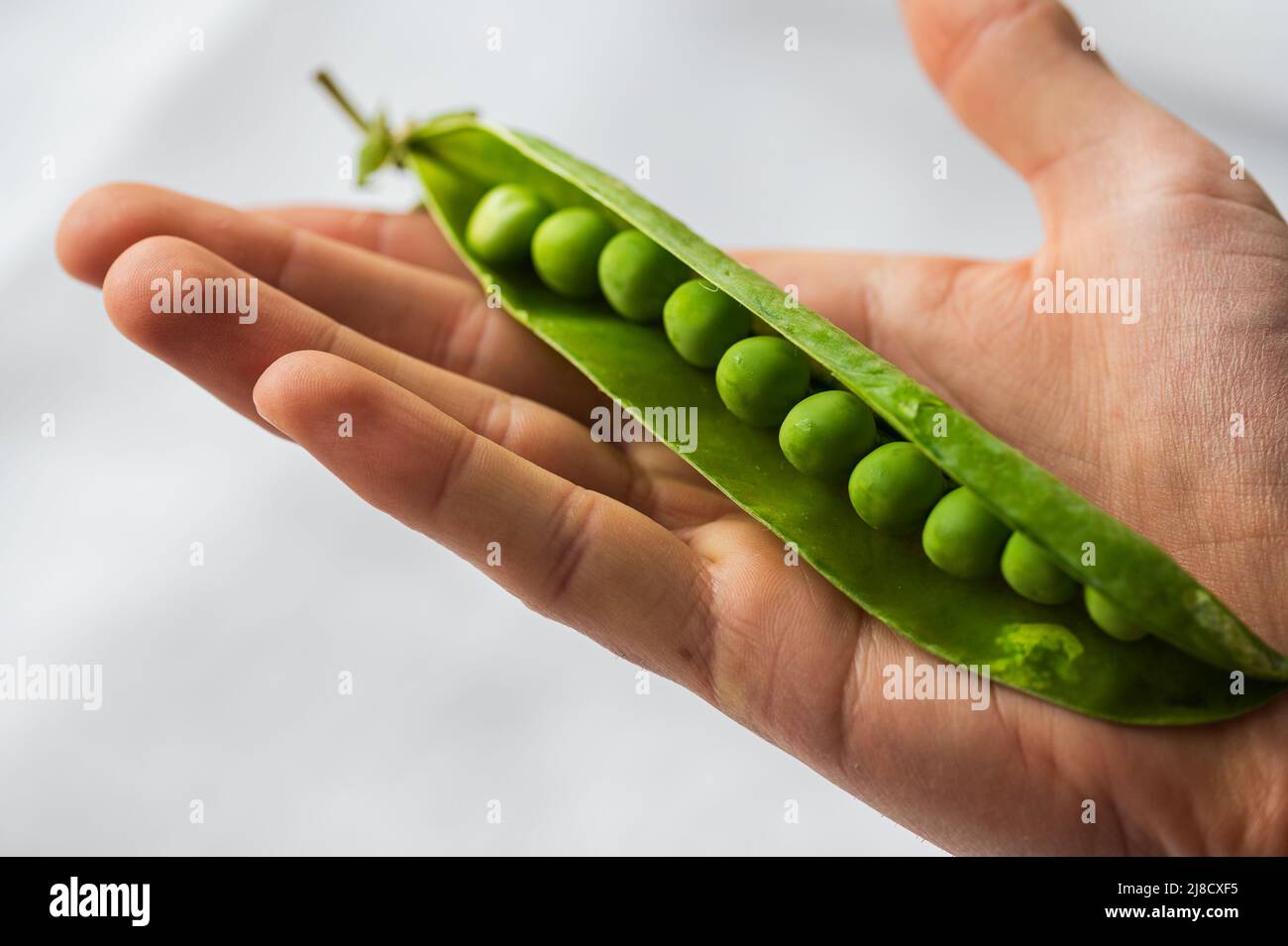 Hand holding green pea pod hi-res stock photography and images - Alamy