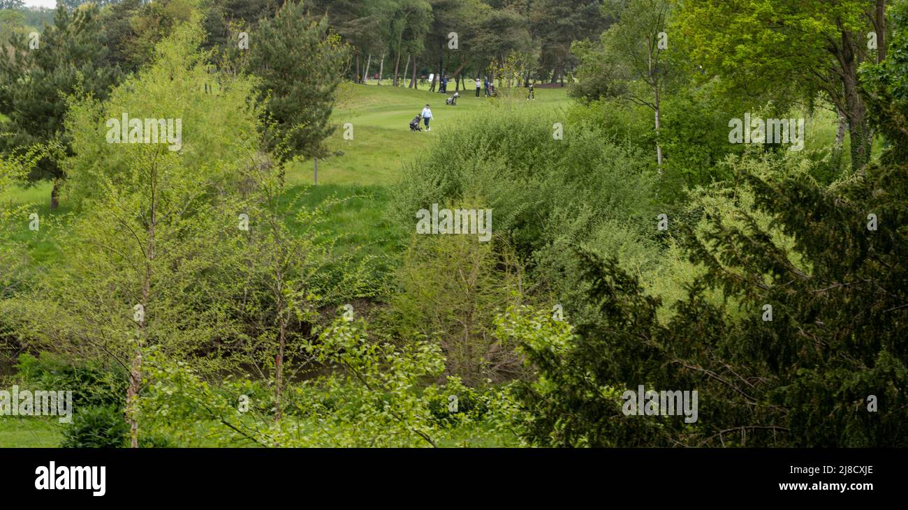 The wisley surrey golf hi-res stock photography and images - Alamy
