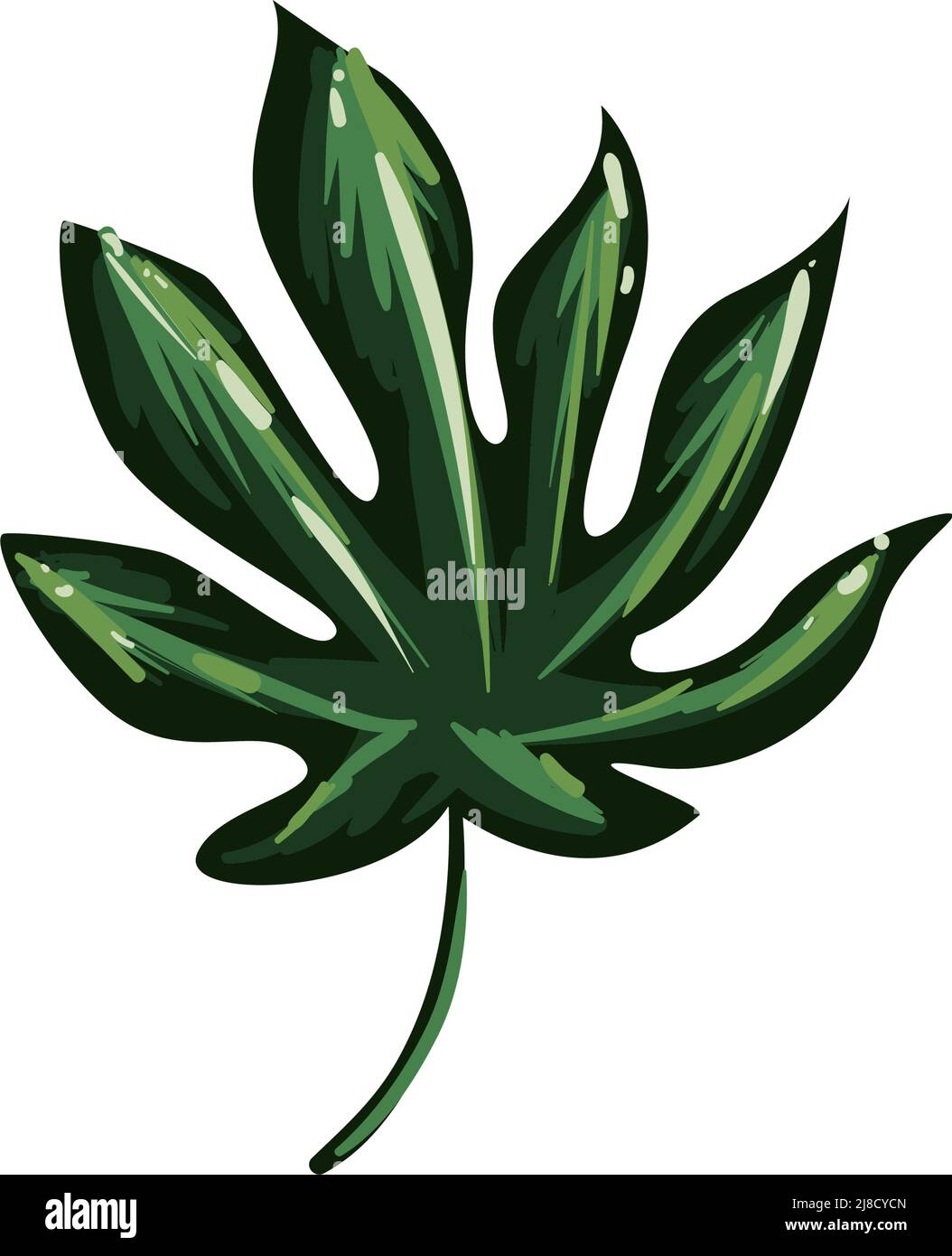 flat realistic tropical leaf illustration Stock Vector Image & Art - Alamy