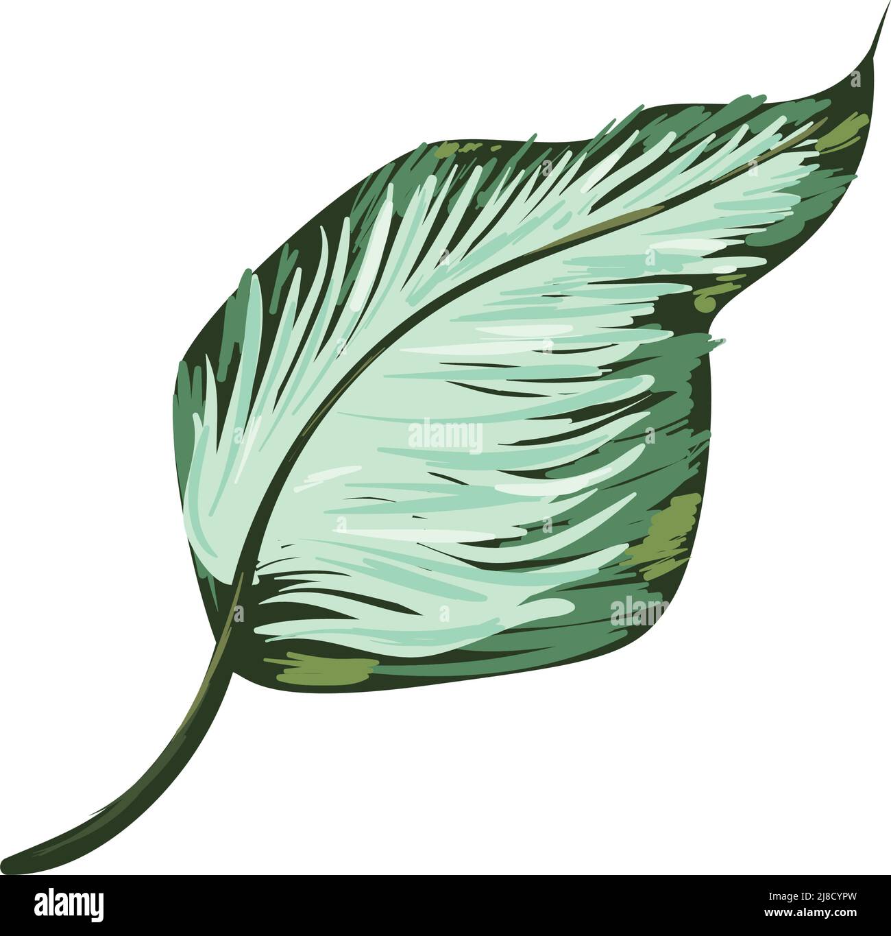 flat realistic leaf design Stock Vector Image & Art - Alamy