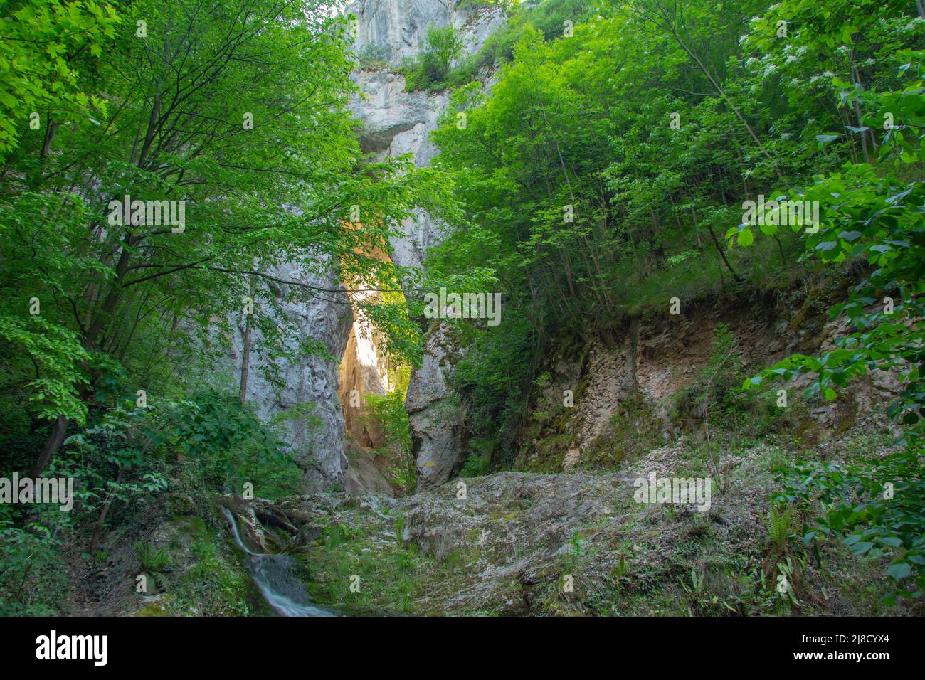 The outgrowth of Valja at sunset. A wonderful wonder of nature Stock ...