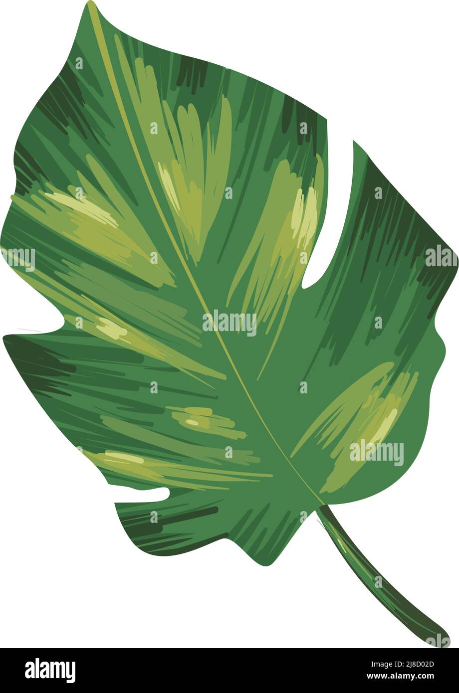 flat realistic leaf illustration Stock Vector Image & Art - Alamy