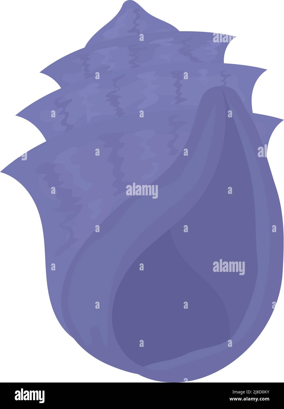 scotch bonnet shell Stock Vector Image & Art - Alamy