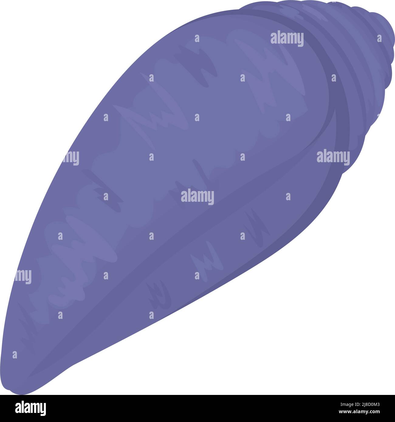purple cone shell Stock Vector Image & Art - Alamy