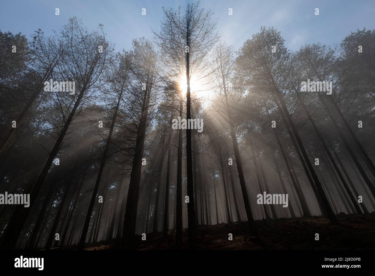 Sunlight through the mist hi-res stock photography and images - Alamy