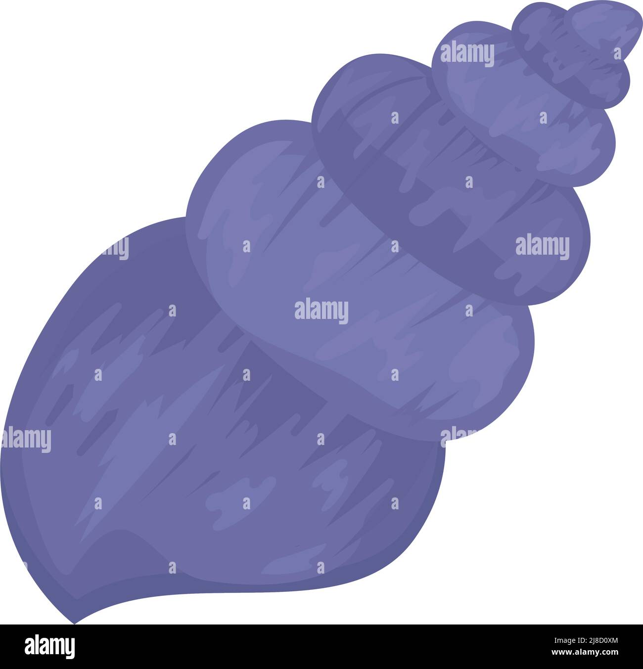 purple olive shell Stock Vector Image & Art - Alamy