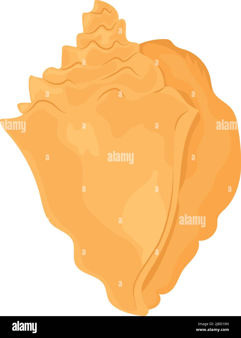 Whelk Stock Vector Images - Alamy