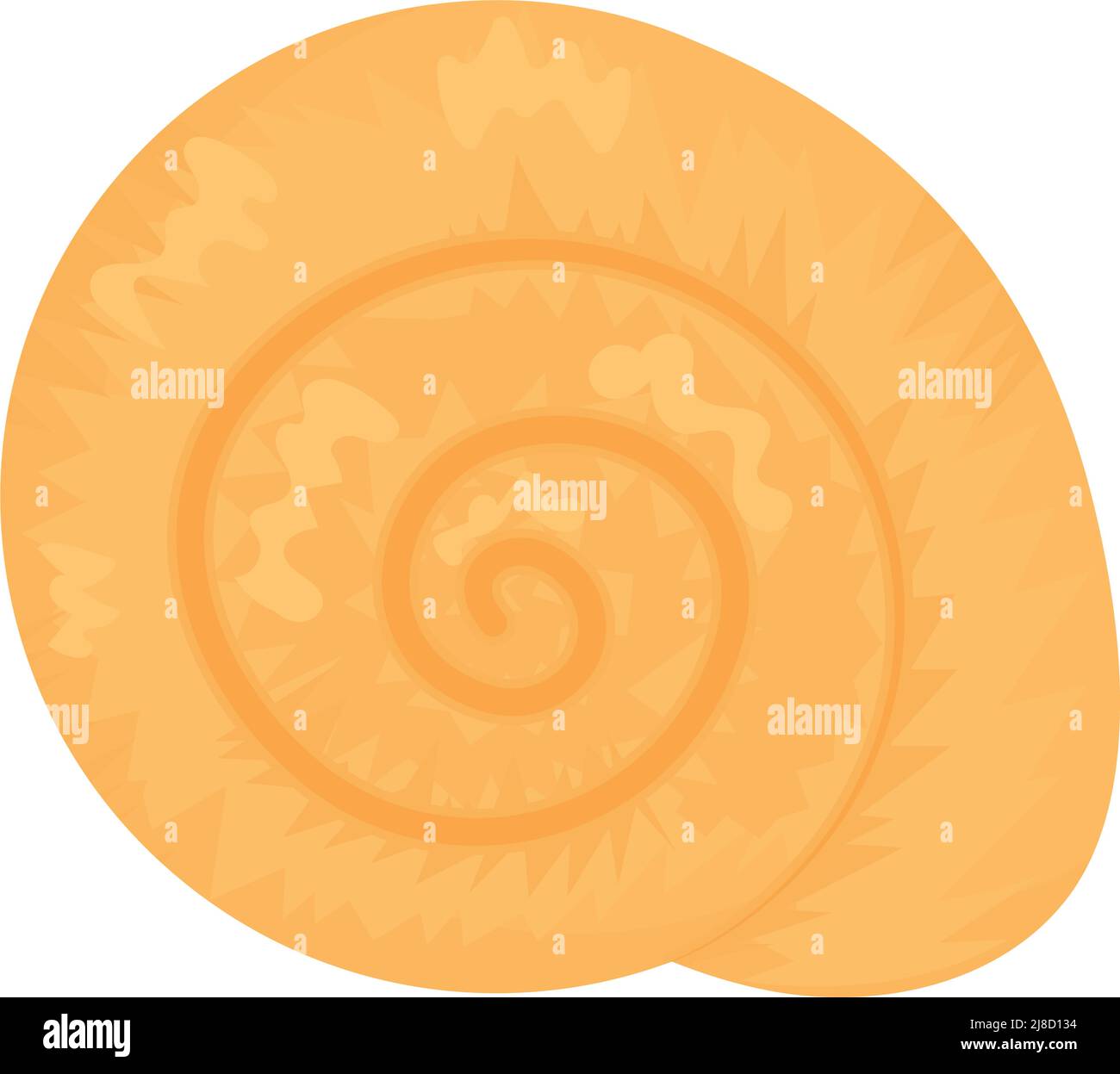 moon snail shell Stock Vector Image & Art - Alamy