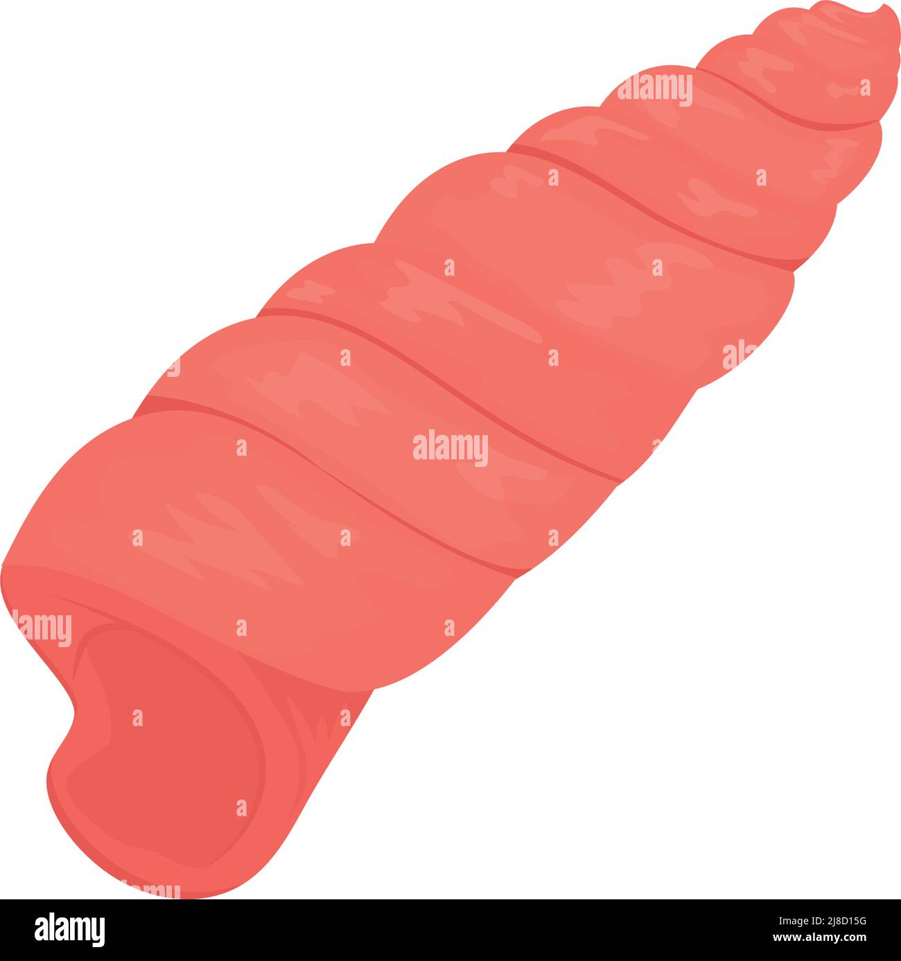 auger shell icon Stock Vector Image & Art - Alamy