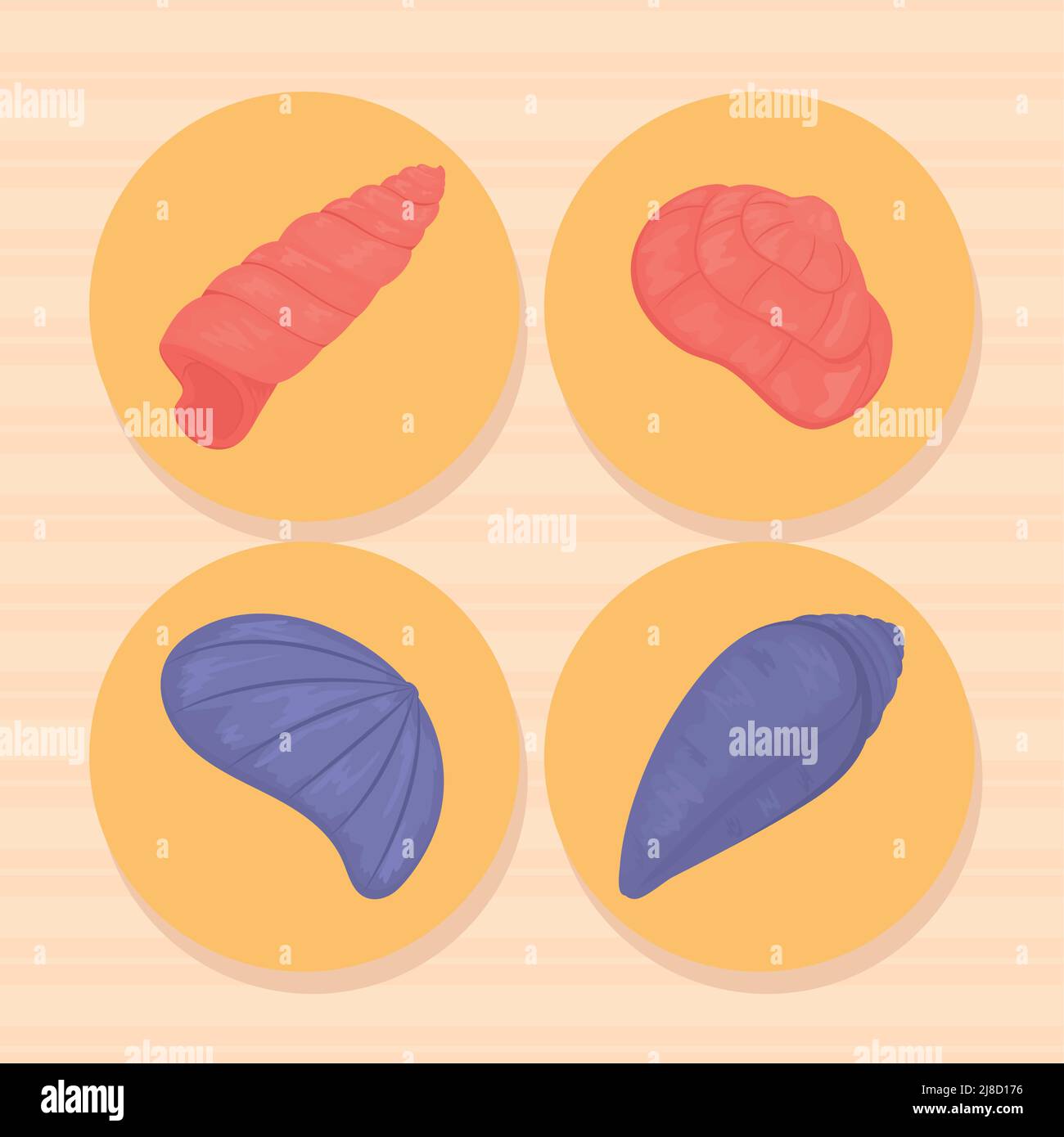 colorful shells set Stock Vector Image & Art - Alamy