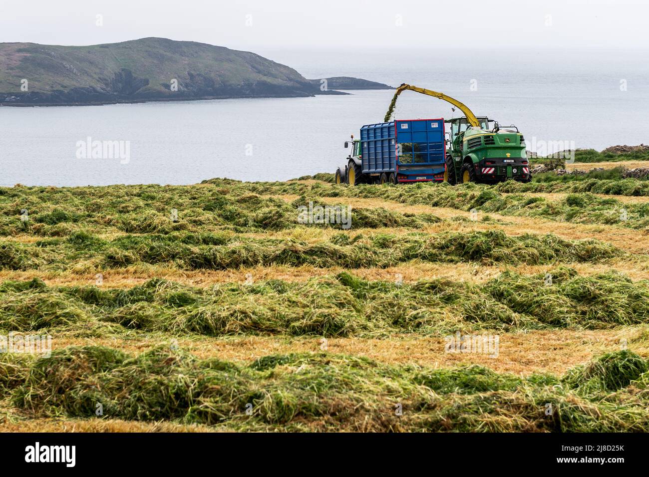 Donaghmore, West Cork, Ireland. 15th May, 2022. Temperatures hit 20C in ...