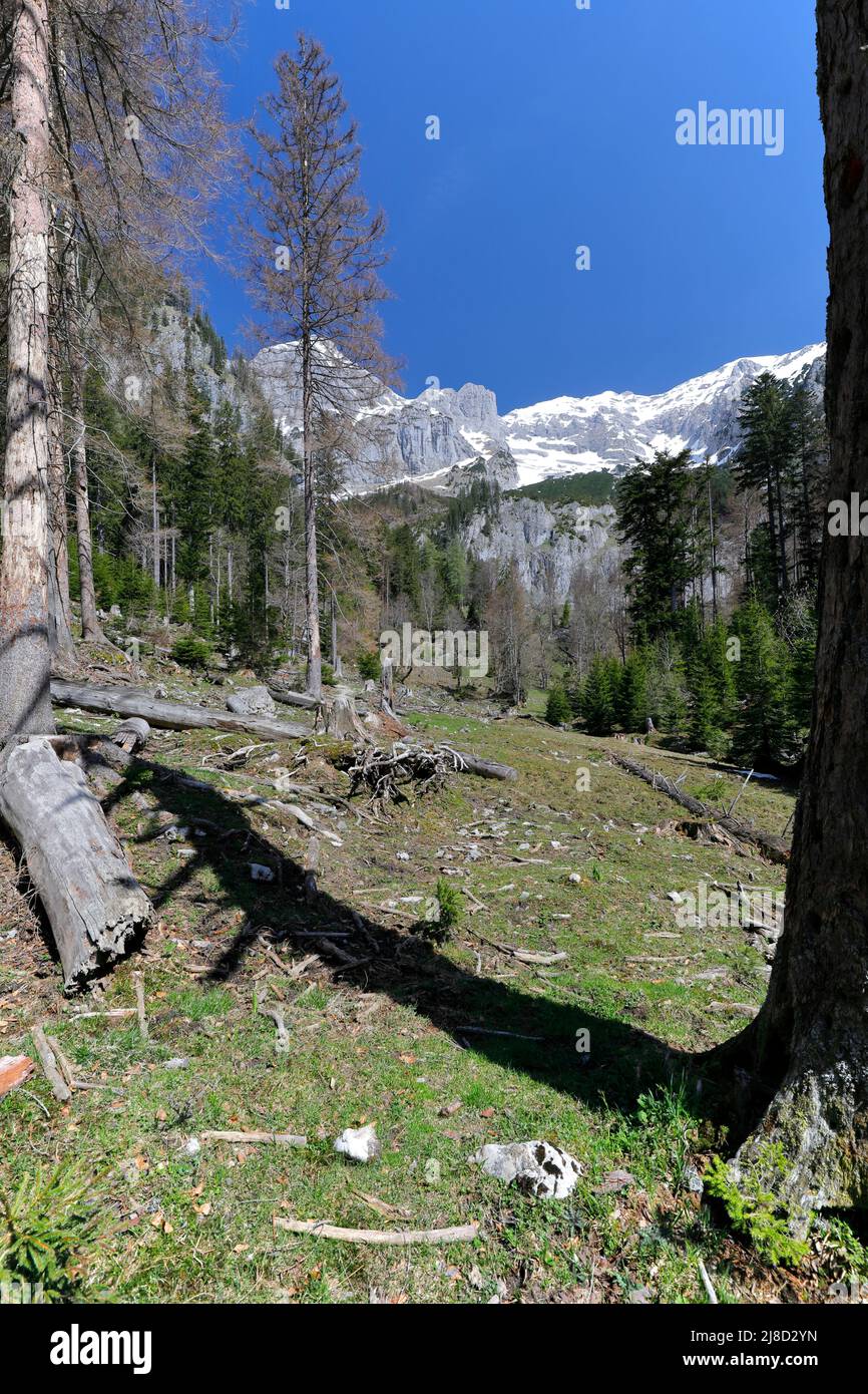 Landscape in the Styrian Limestone Alps, Styria, Austria Stock Photo ...