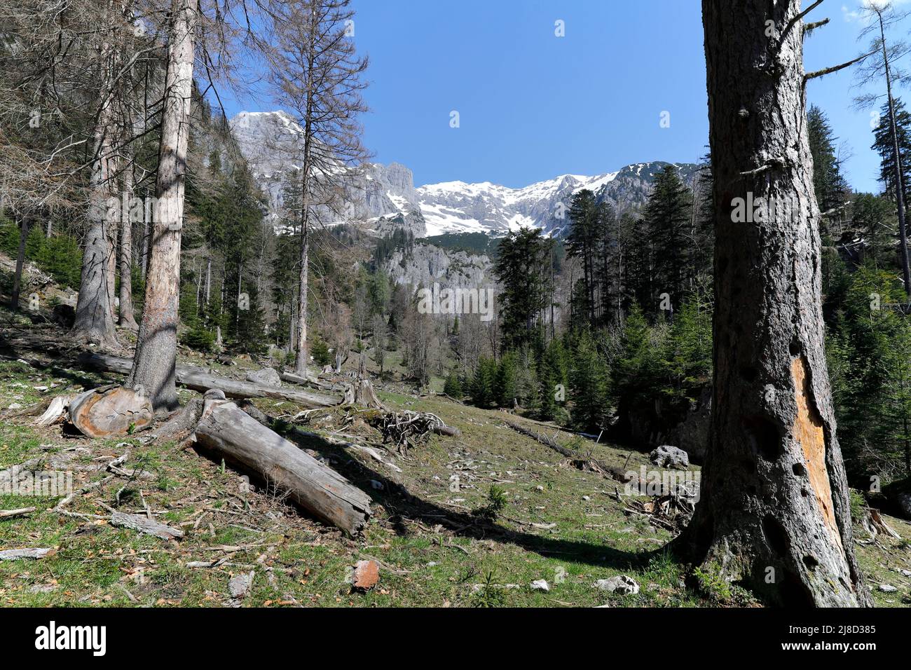 Styrian limestone alps hi-res stock photography and images - Alamy