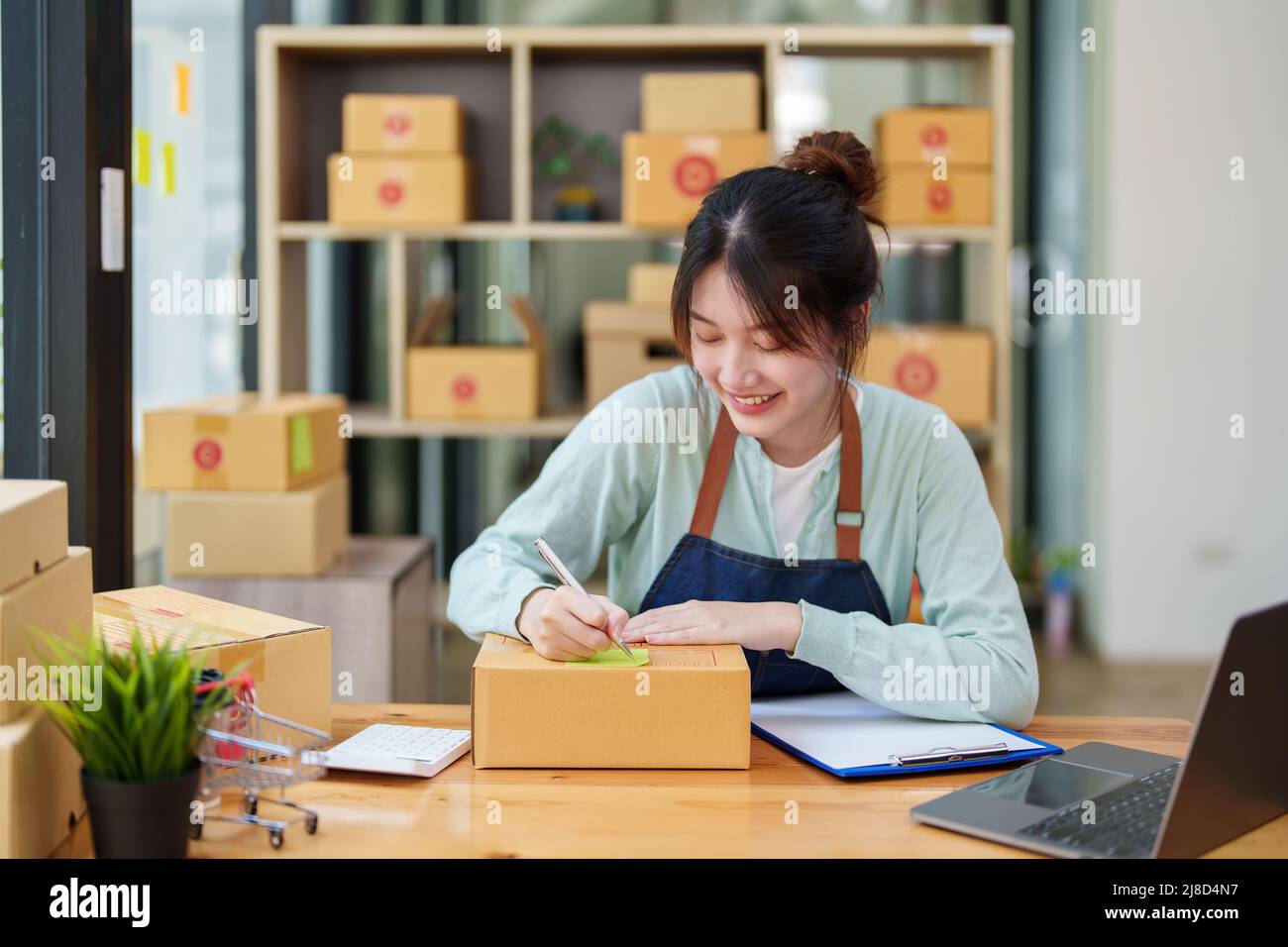 A portrait of a small startup, and SME owner, an Asian female ...