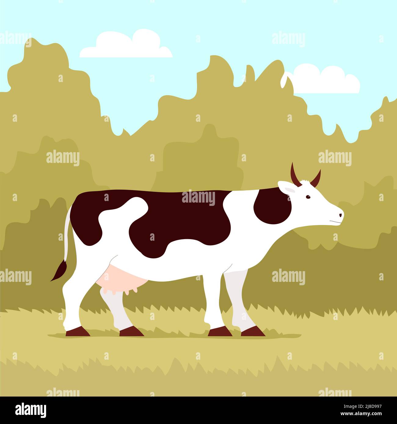 Cow with udder. Animal for farm, milk and meat. Ungulate mammal ...