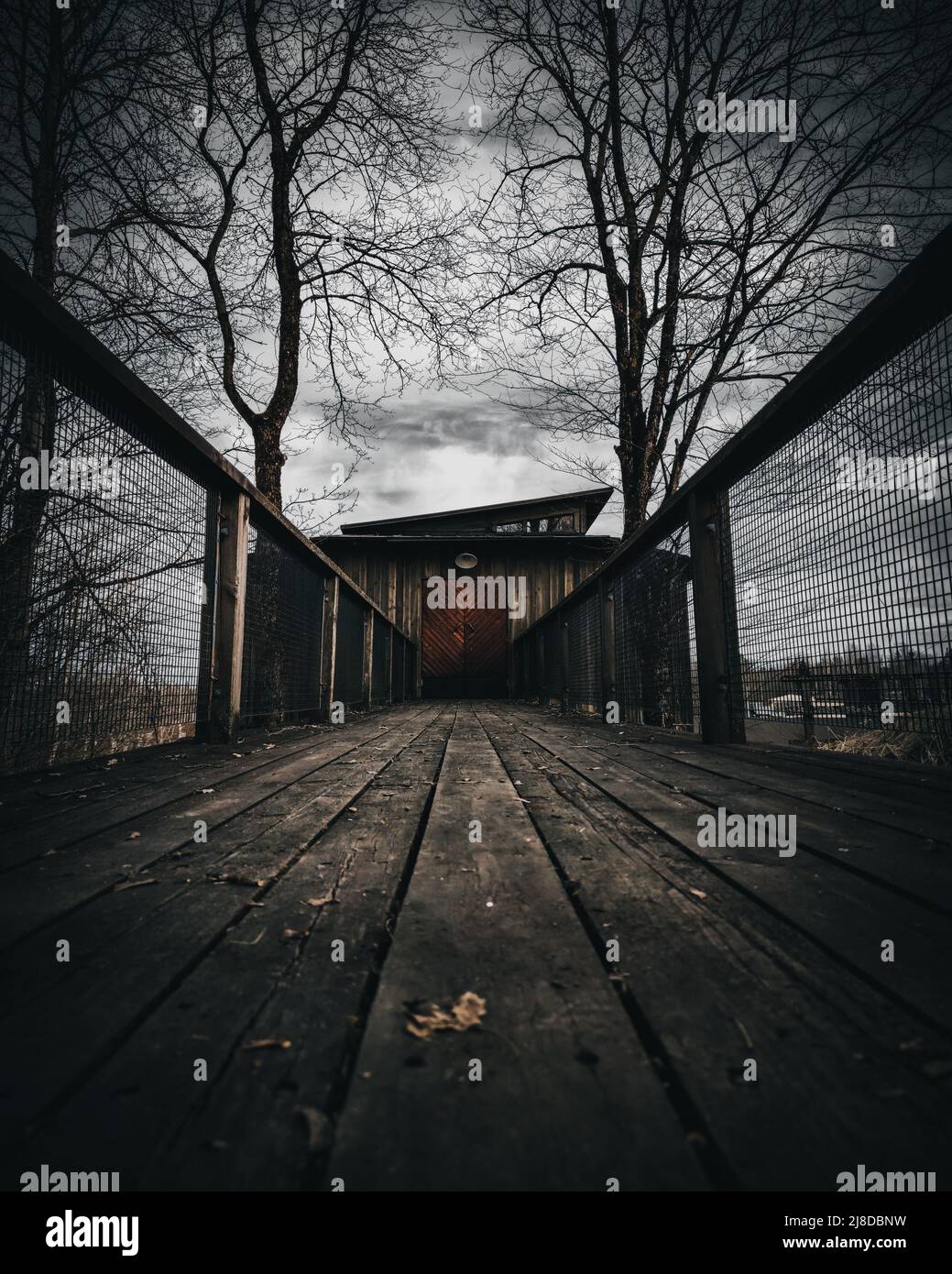 Cine like hi-res stock photography and images - Alamy