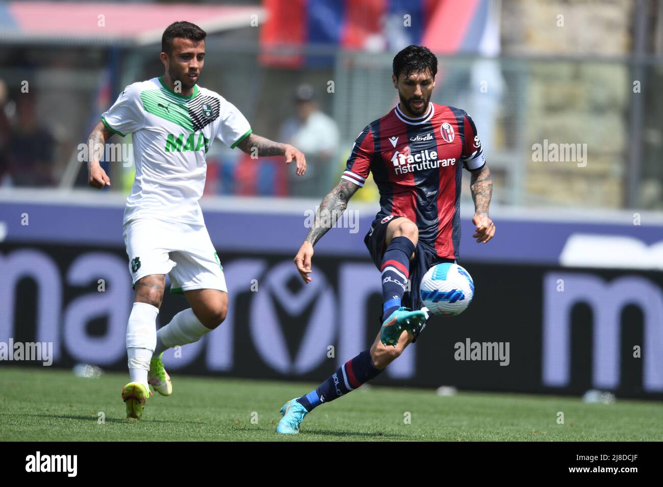 Bologna matheus hi-res stock photography and images - Alamy
