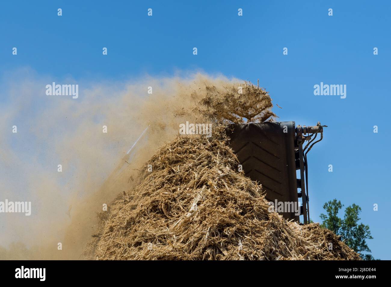 Wood chipper process by conveyor belt to wood chipping machine Stock ...