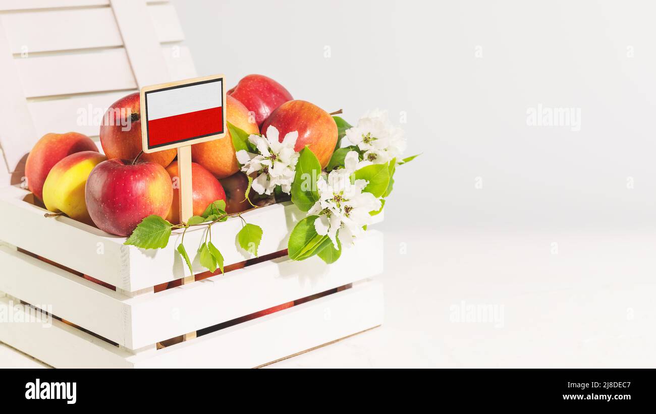 Poland apples. Natural, farm apples in a white wooden box with poland ...