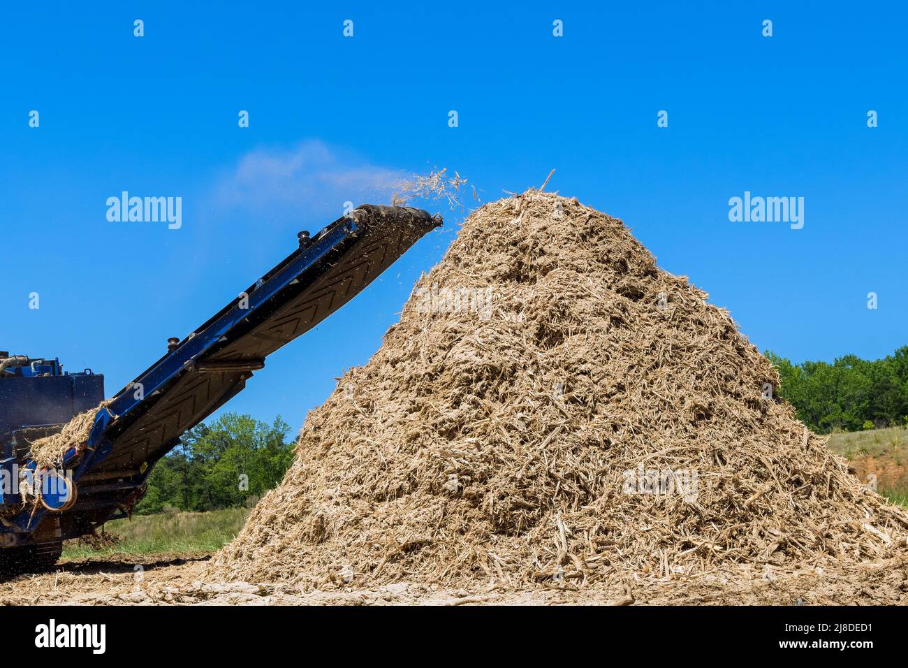 Close-up conveyor of an industrial wood shredder producing wood chips ...