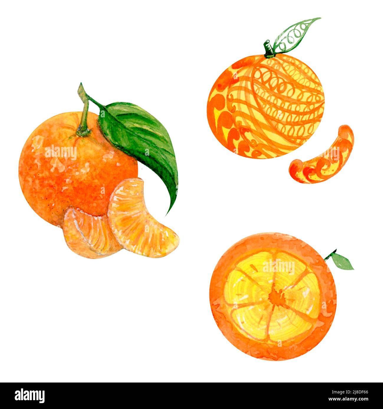 Orange watercolor on white background Hand drawn watercolor painting ...