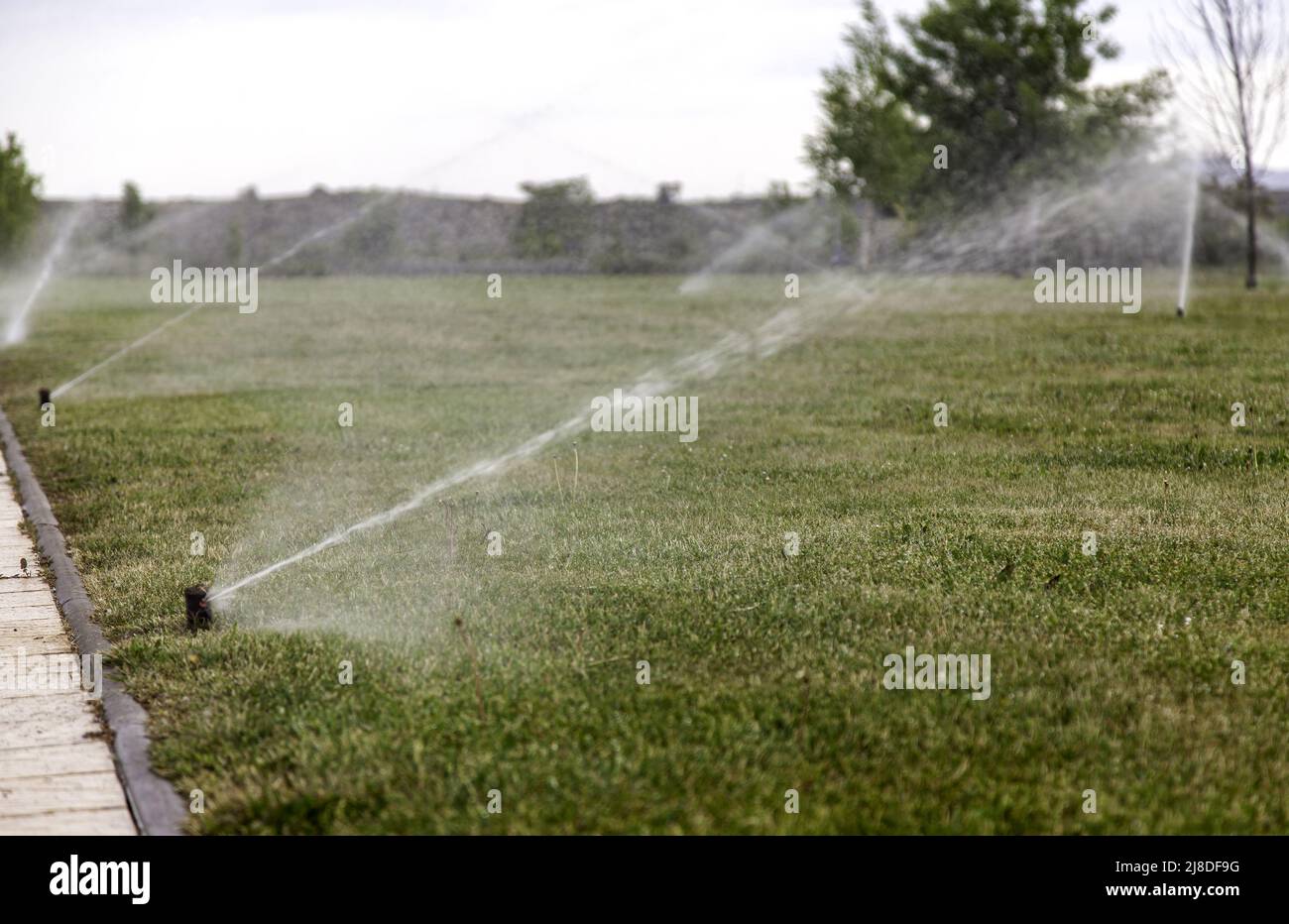 Detail of automatic irrigation in a field, lawn in the city Stock Photo ...