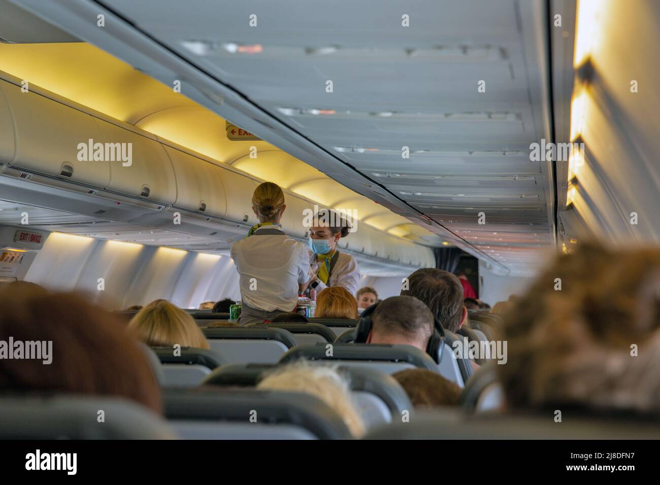 Air hostess serving meal hi-res stock photography and images - Alamy