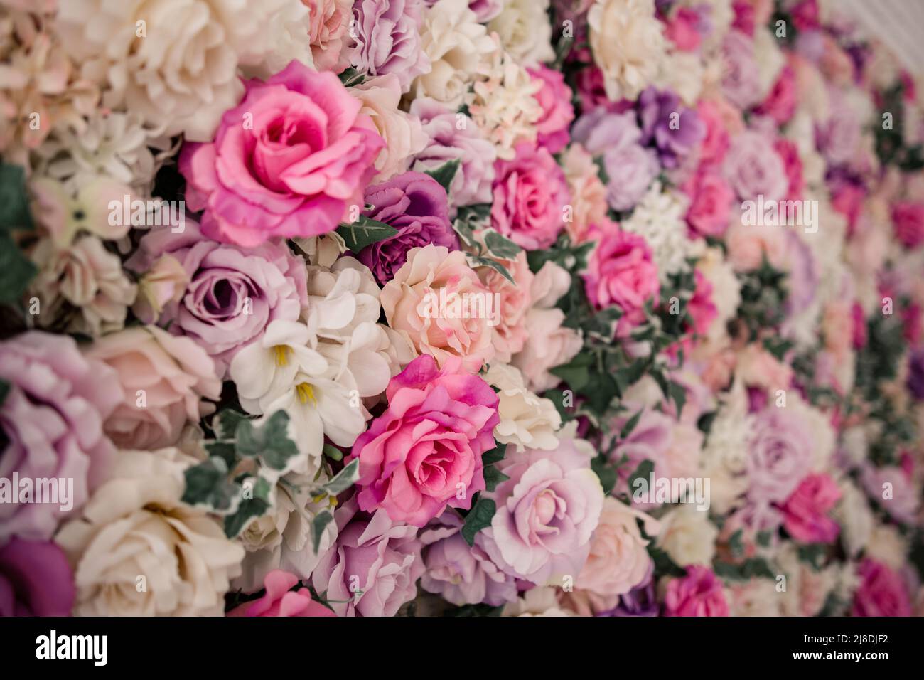 a beautiful large background of pink and red flowers flower shop ...