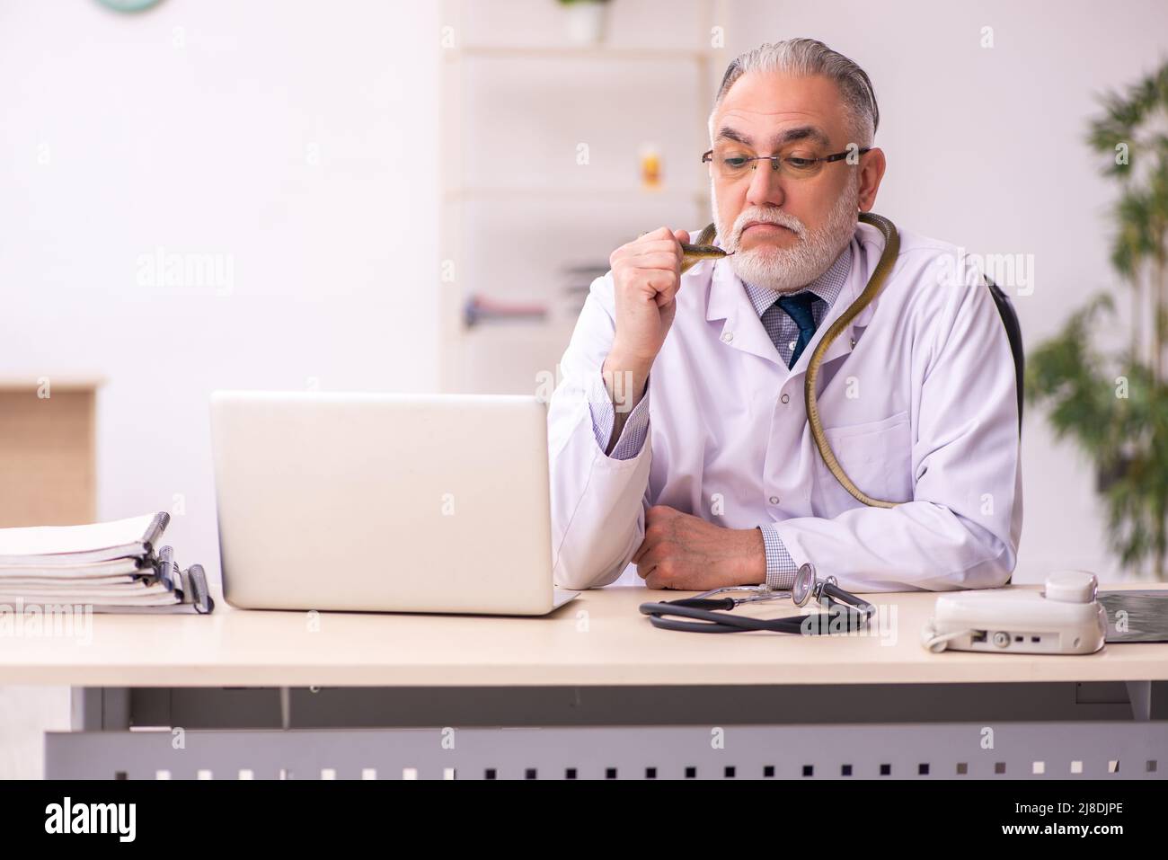 Aged male doctor holding snake at workplace Stock Photo - Alamy