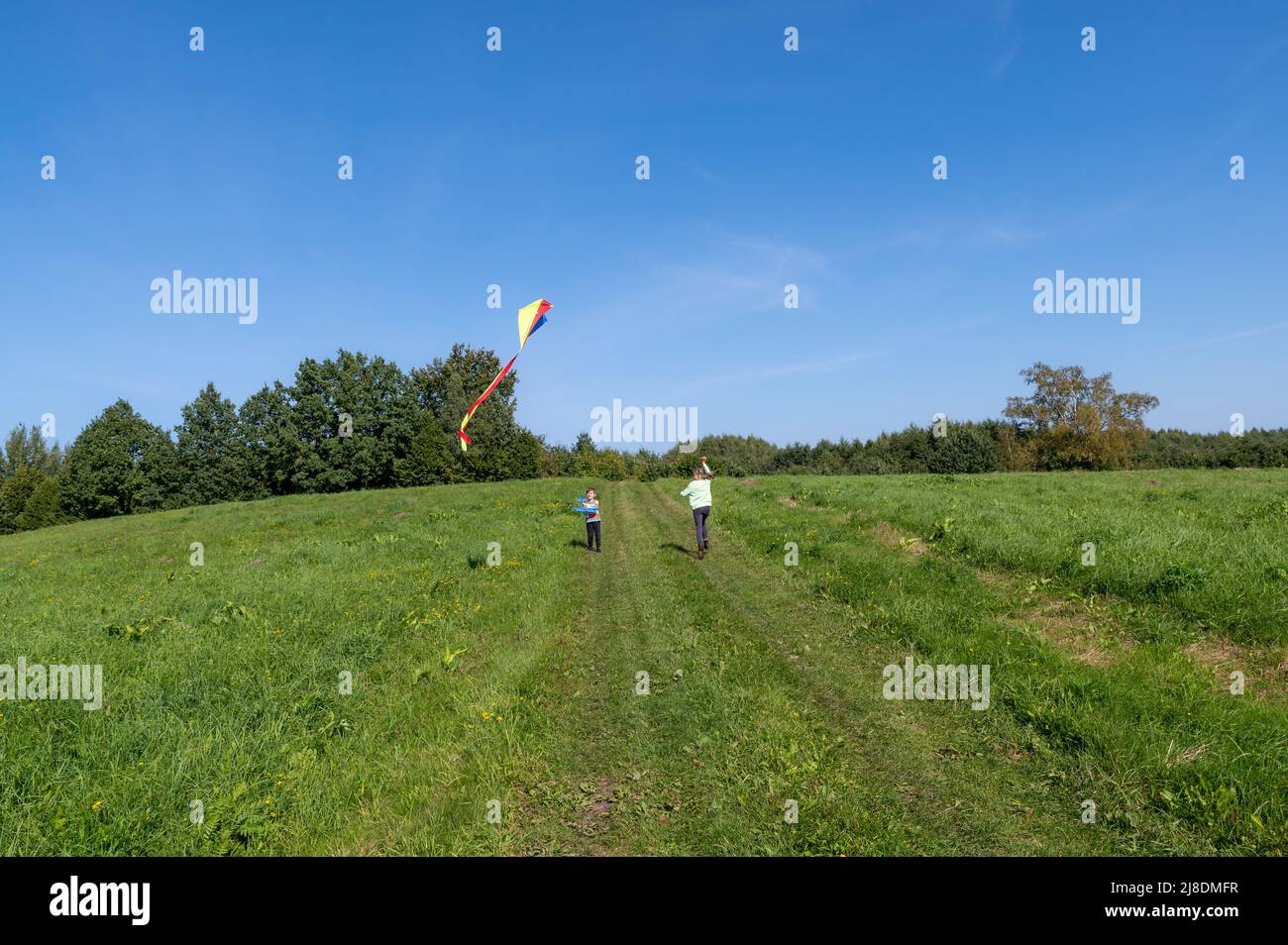 Children flying kite in countryside. Young girl flying kite while small ...