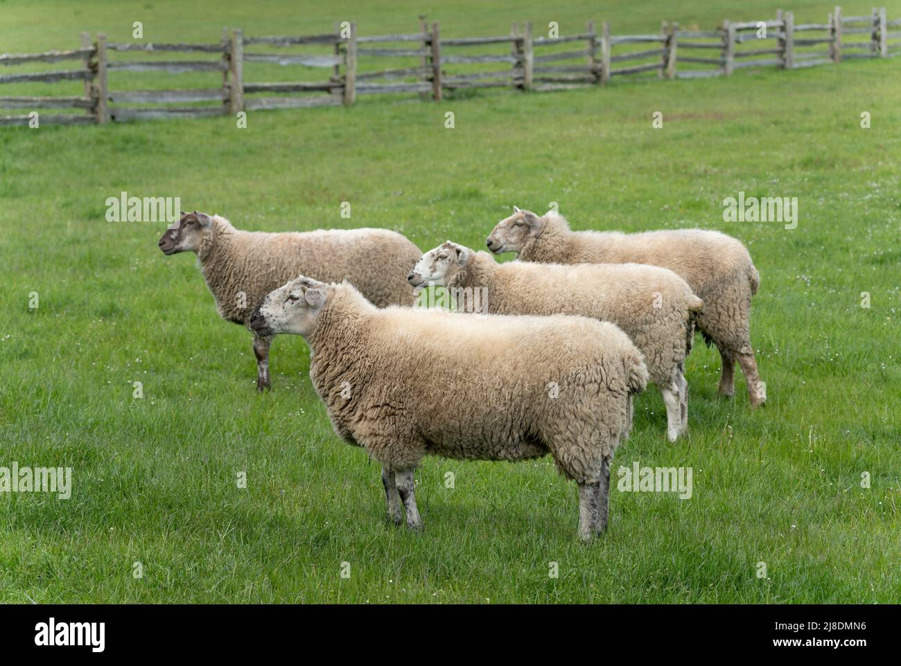 Ruckle farm provincial park hi-res stock photography and images - Alamy