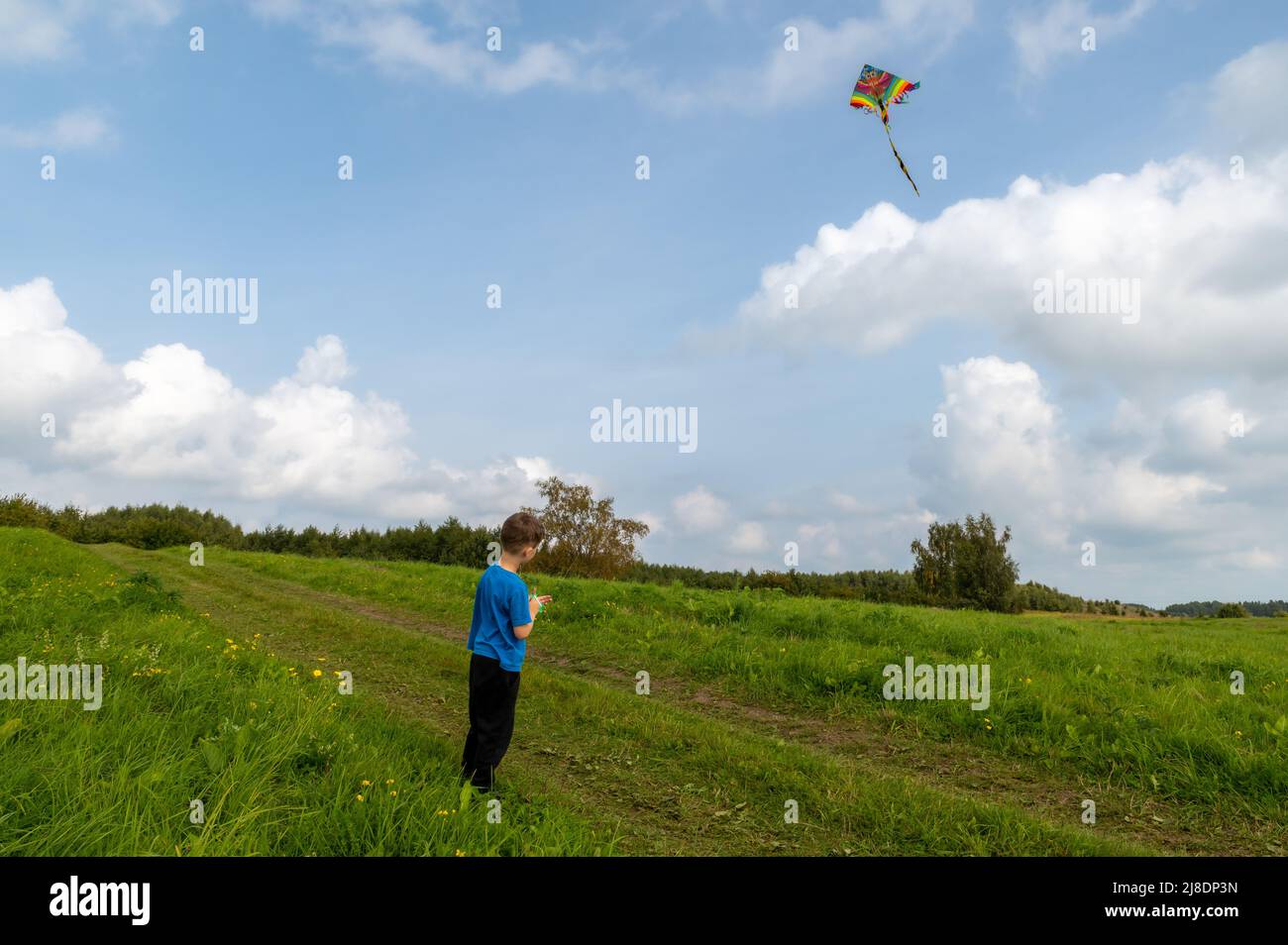 Boy kite grassland hi-res stock photography and images - Alamy