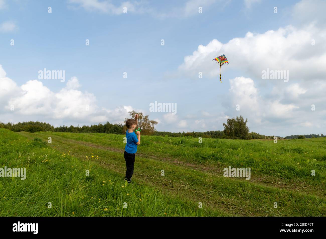 Boy kite grassland hi-res stock photography and images - Alamy