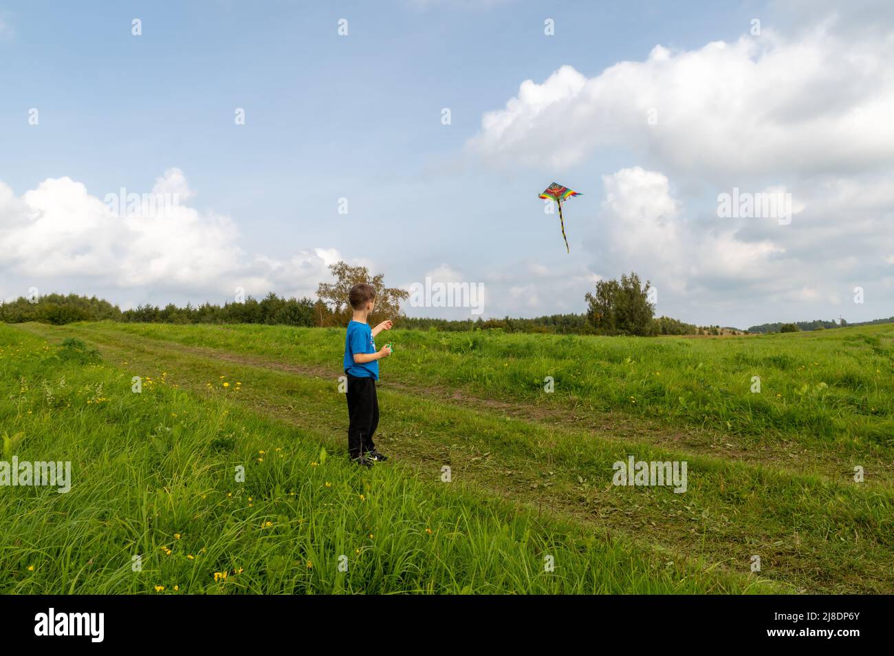 Boy flying kite in countryside Stock Photo - Alamy