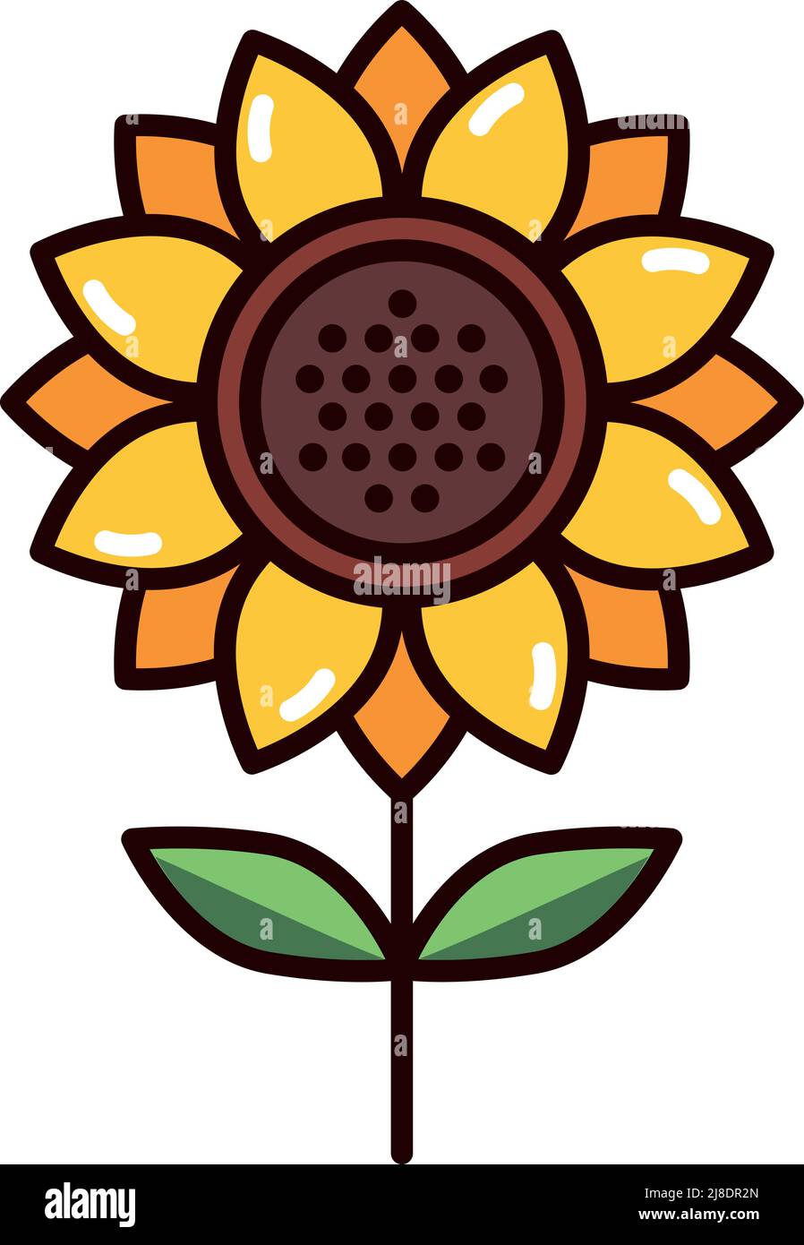 color outline sunflower illustration icon Stock Vector Image & Art - Alamy