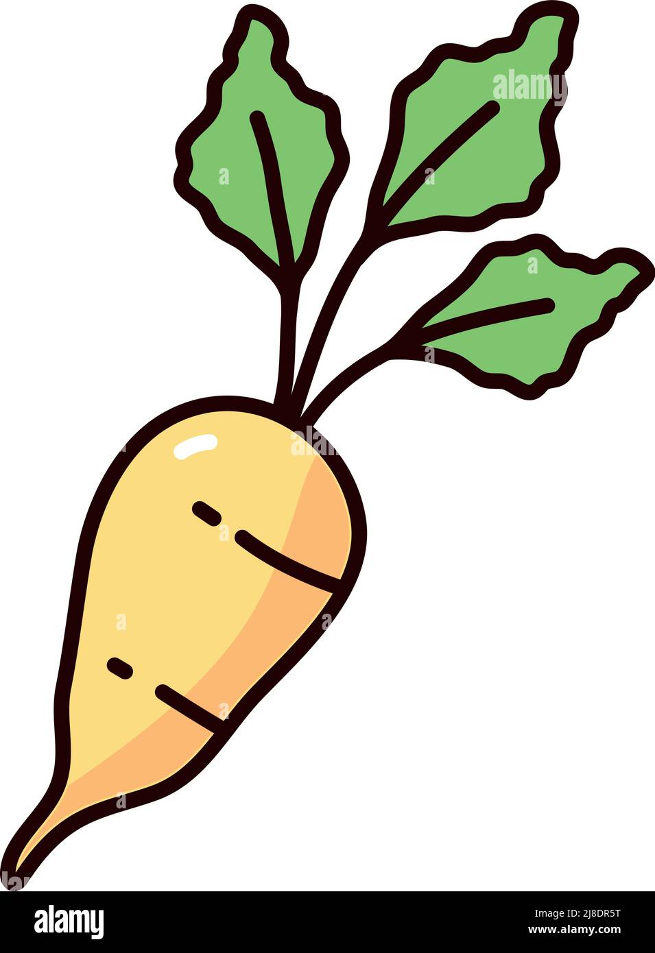 Sugar beet leaf Stock Vector Images - Alamy