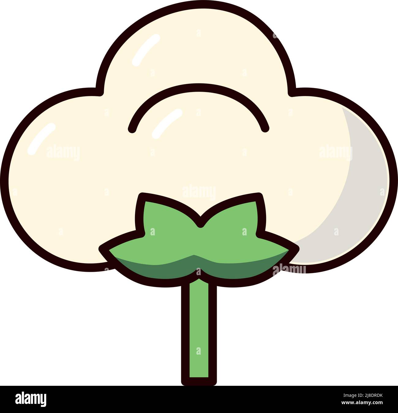 Cotton crop Stock Vector Images - Alamy