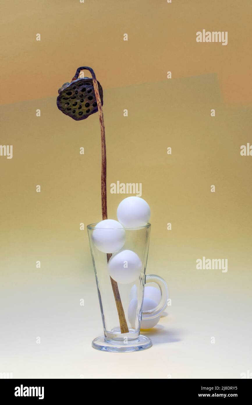 Still life with a dried lotus flower in a glass with white balls Stock ...