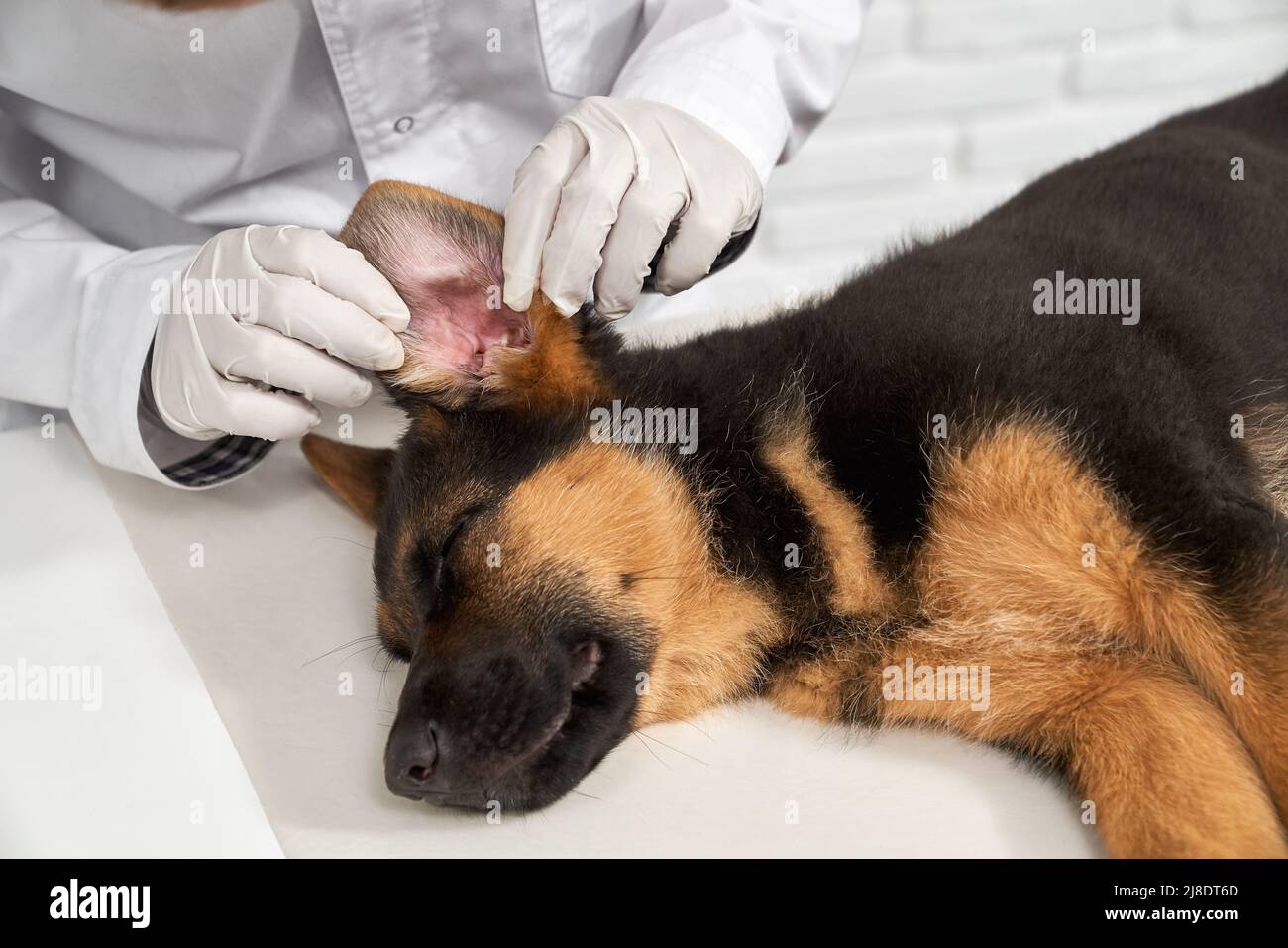 Doctor protecting patient eyes hi-res stock photography and images - Alamy